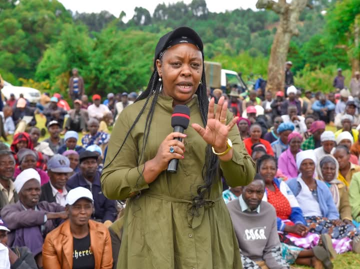 How Bahati MP Njoki's intervention helped maintain Shamba system for ...